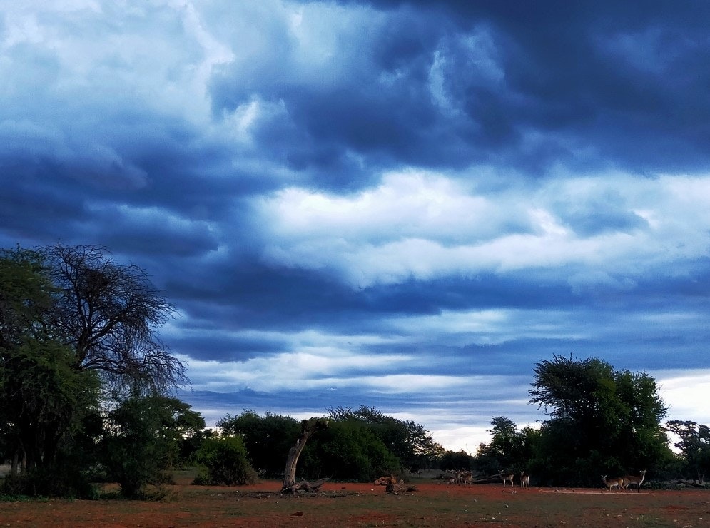 Gamagara Africa Private Nature Reserve | LekkeSlaap