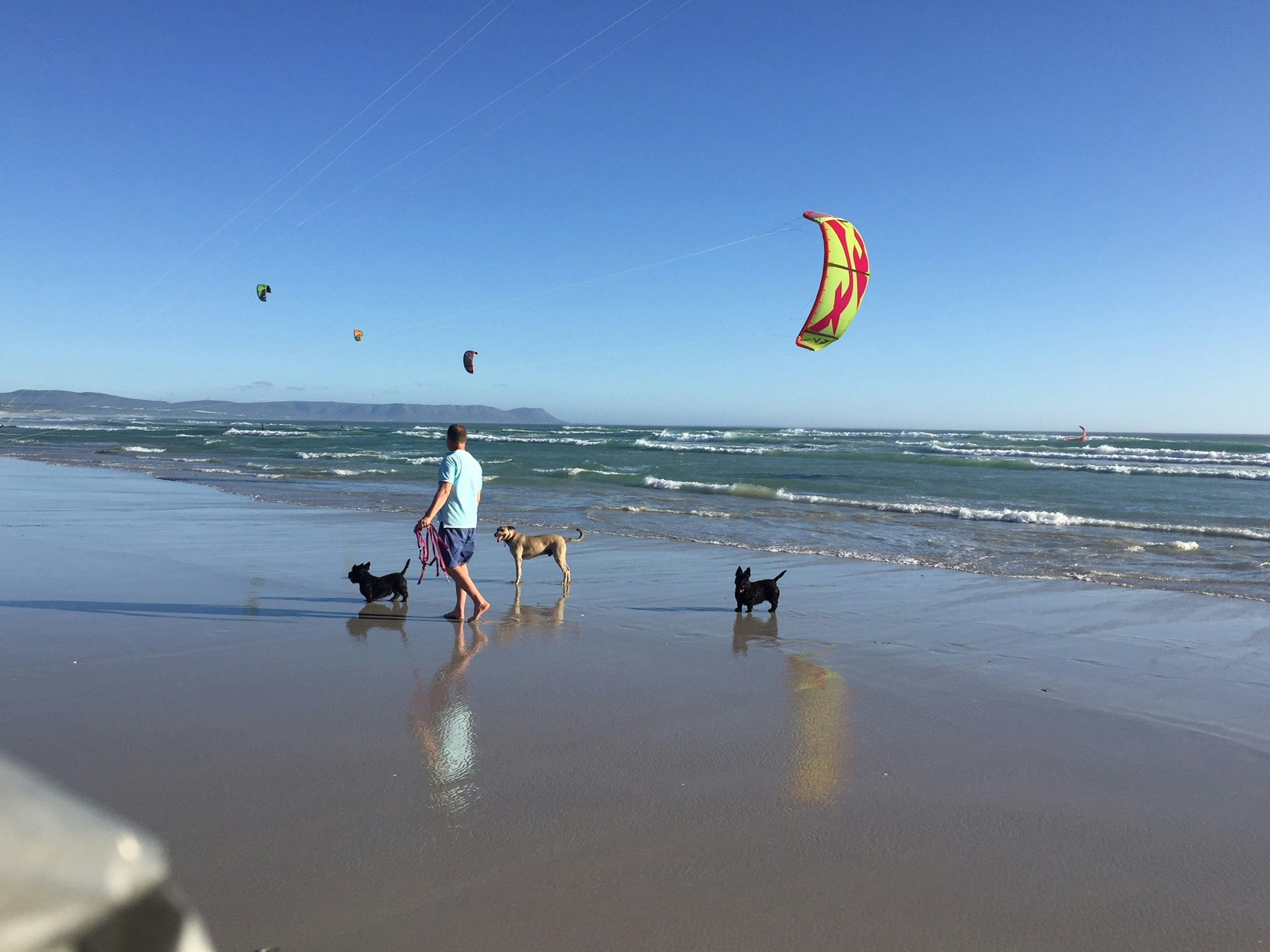 A Whale Of A Time - Hermanus