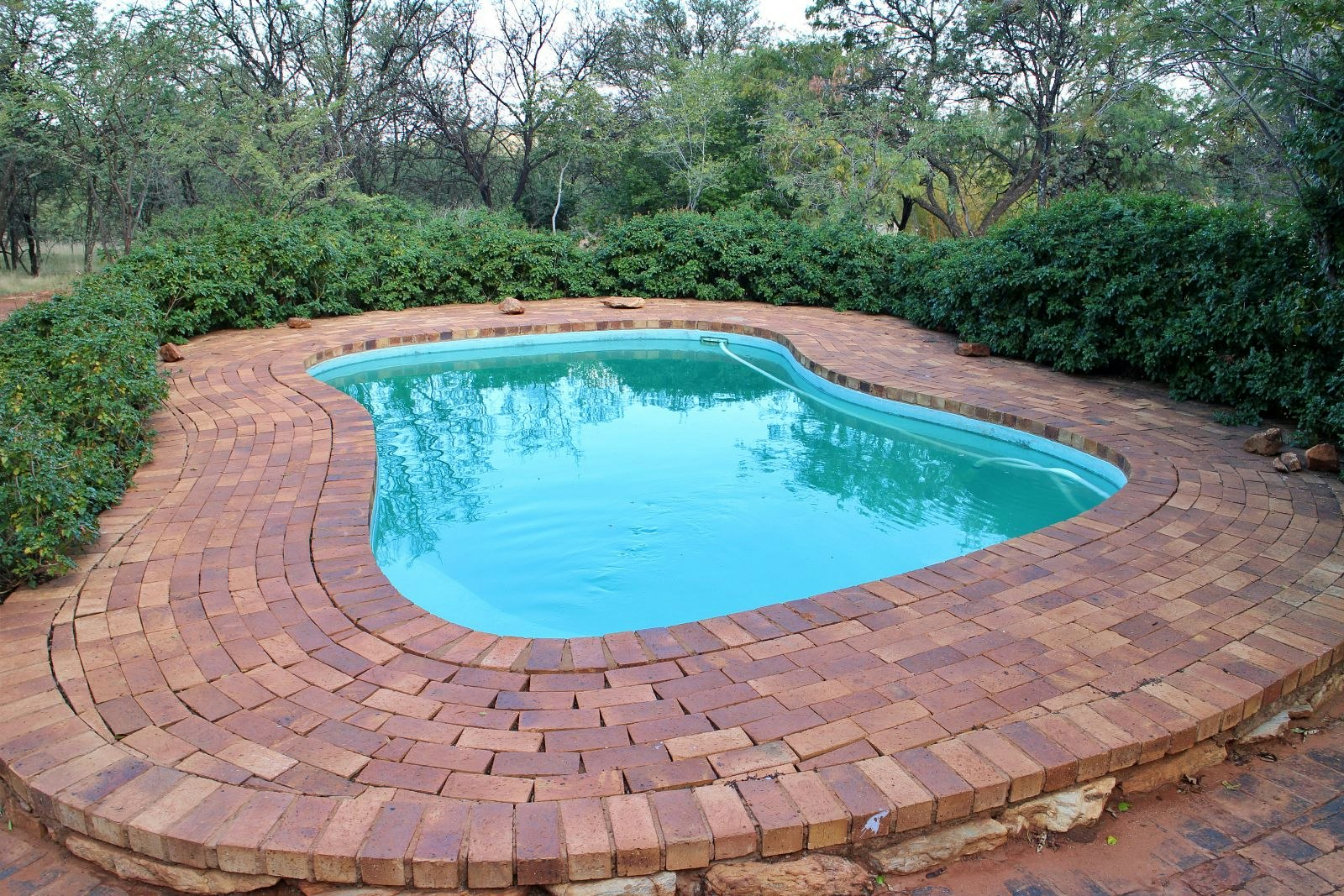 Thwane Bush Camp | Rooms