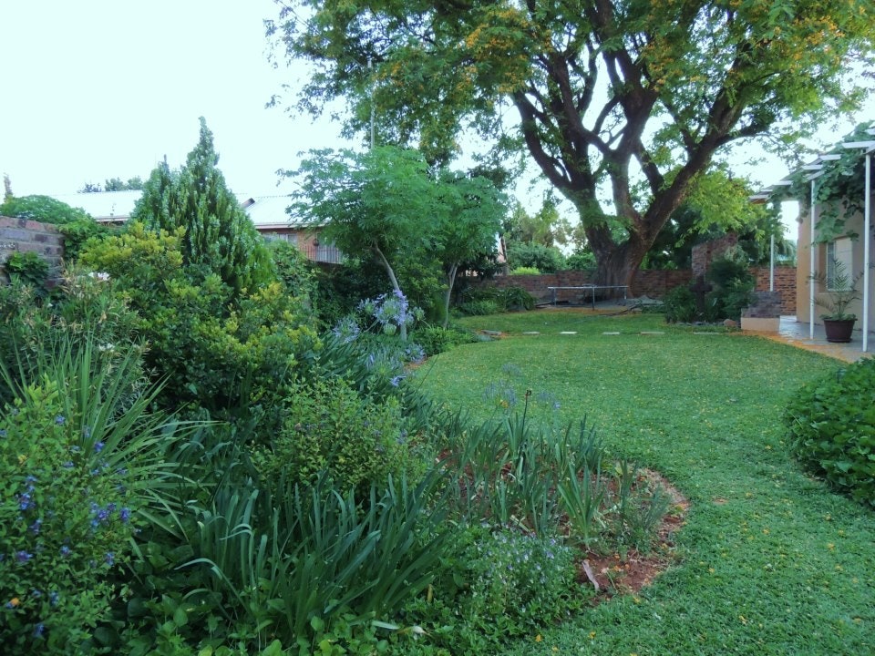 The Big Tree Guest House | LekkeSlaap
