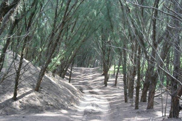 Mbumbulu Bush Camp | LekkeSlaap