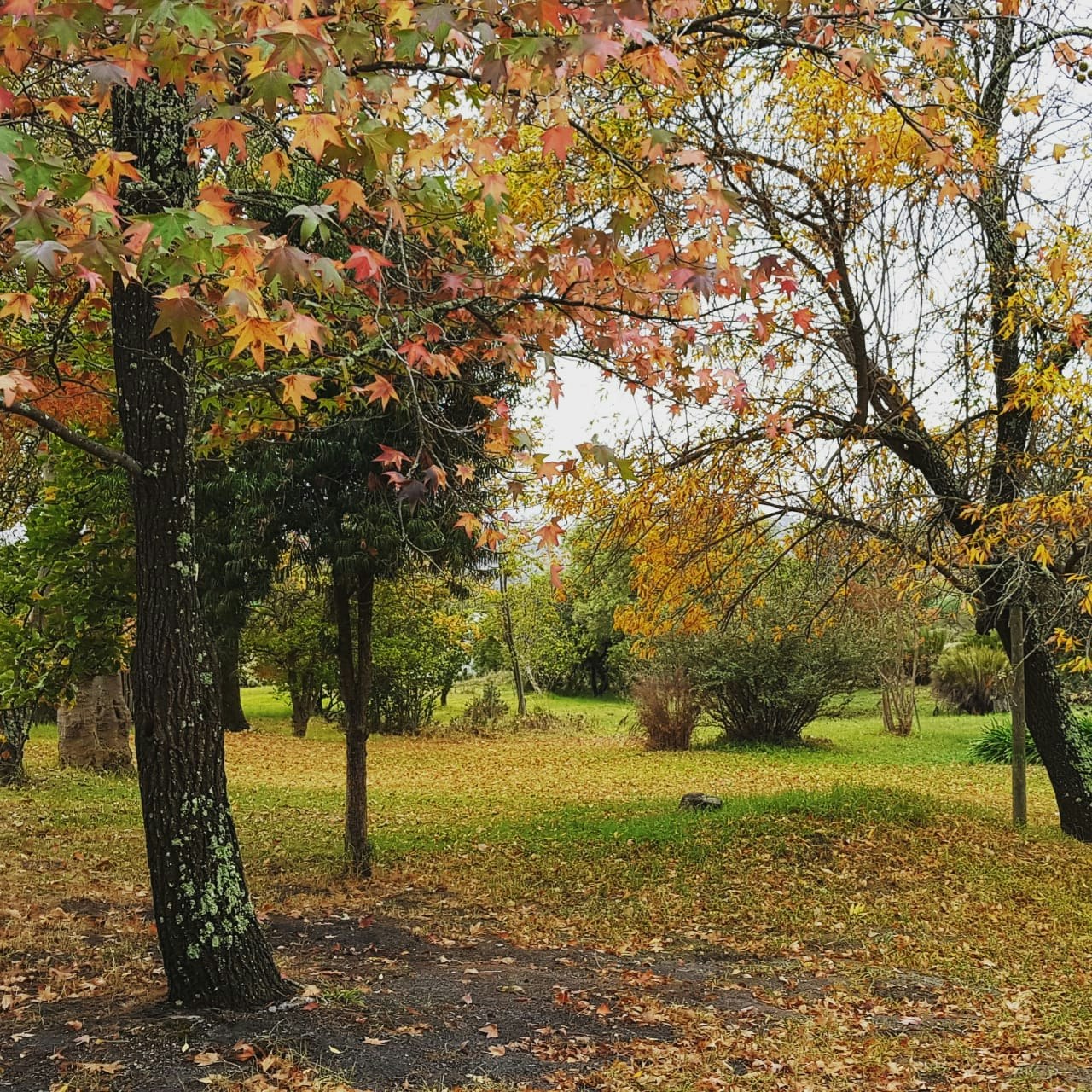 Heidedal Selfsorg Gastehuis | LekkeSlaap